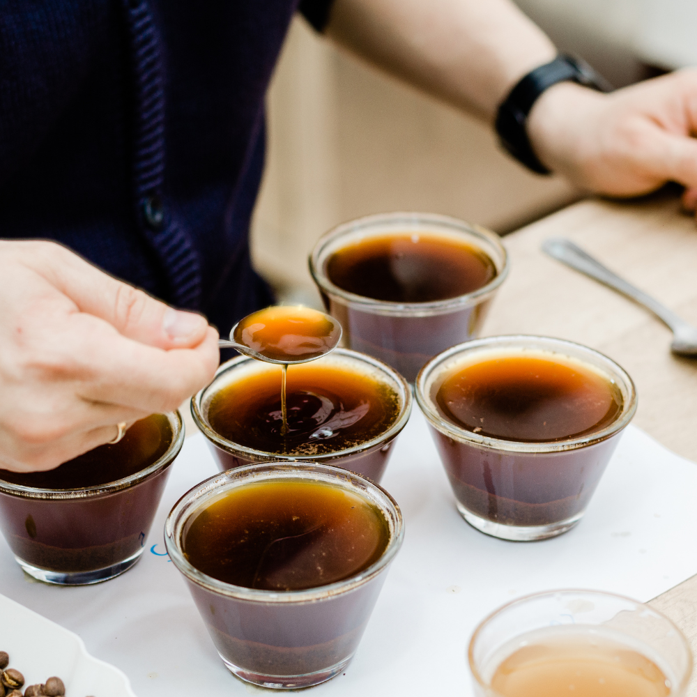 Level 1 - Coffee Training (Espresso) – Grey Matter Coffee Werks