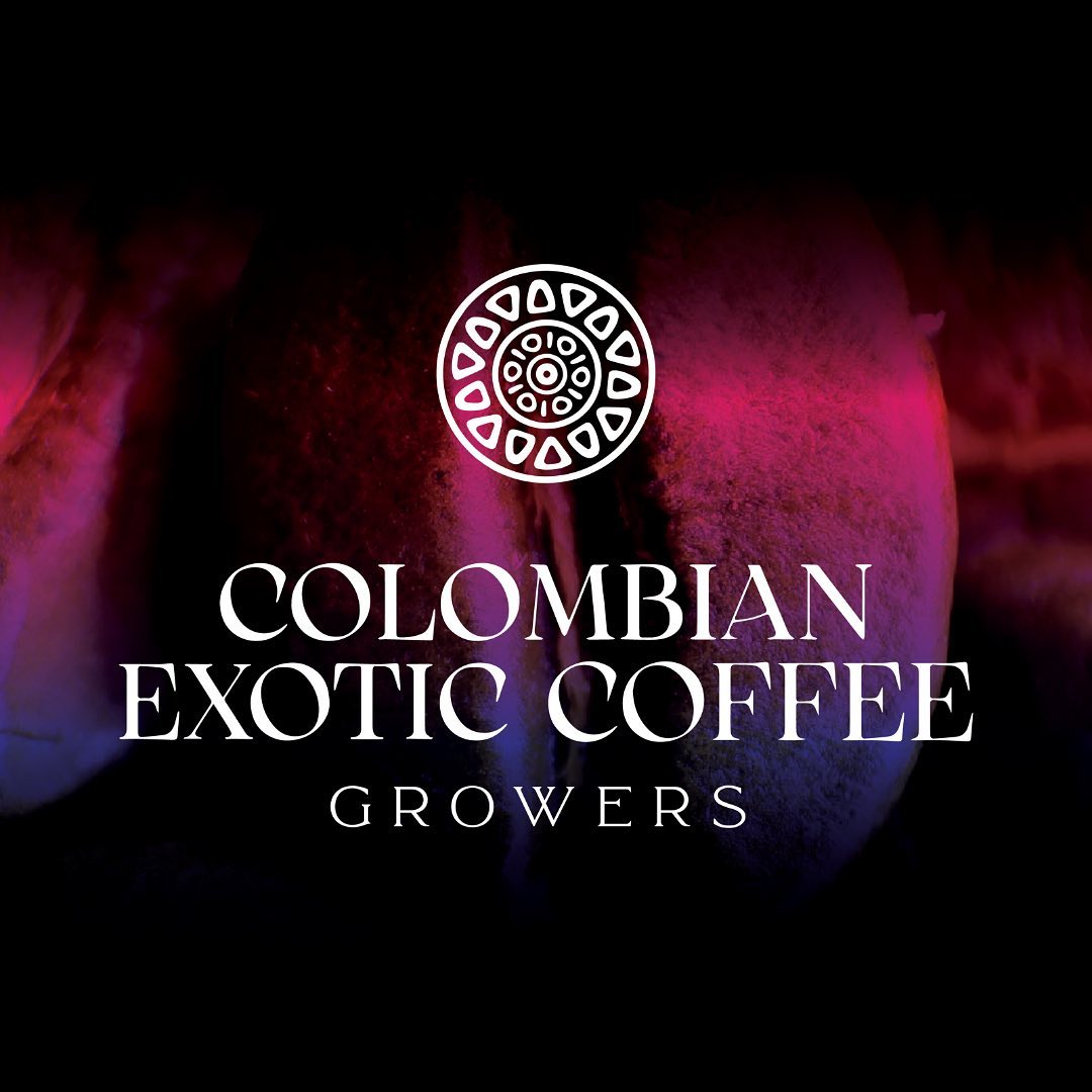 Falcon Bourbon – Grey Matter Coffee Werks